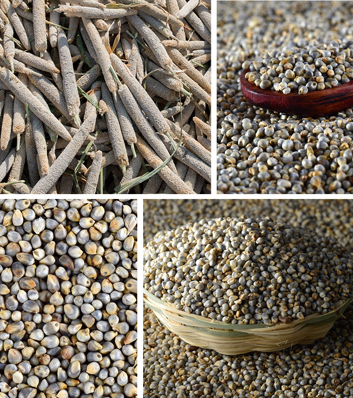 Buy Best Quality Millet From India | Rajshree Agri Export